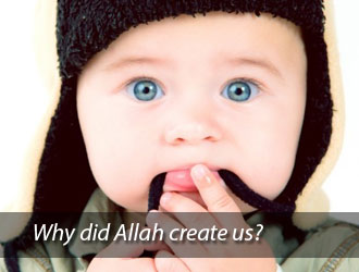 Creed- Islamic Creed- Lesson (09-63)- Purpose of Man's Creation